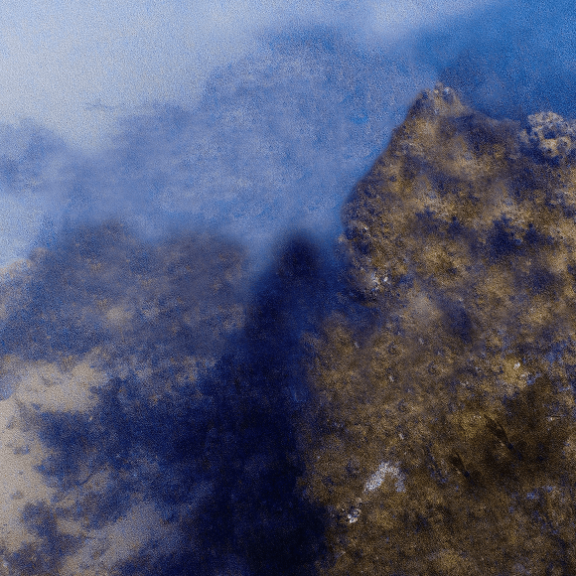 Wonder Reef On The Gold Coast