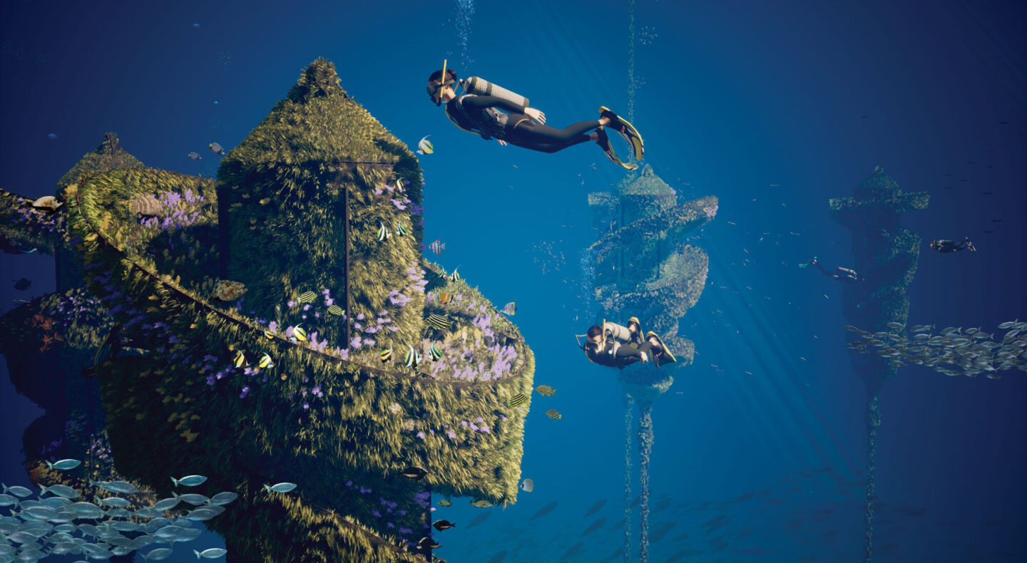 What is the Wonder Reef | Experience | WonderReef