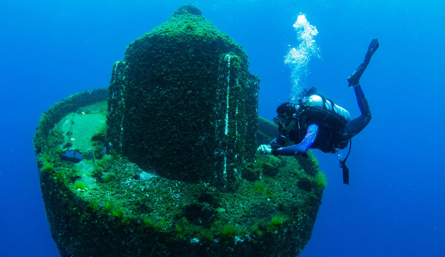 Diver Safety & Education | Learn