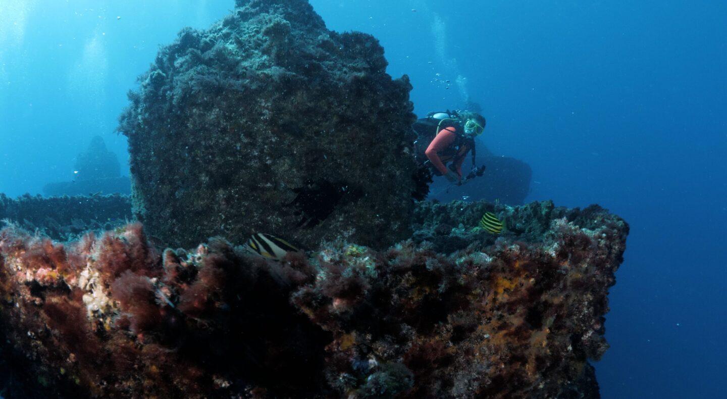 Artificial Reef On The Gold Coast | Learn | WonderReef