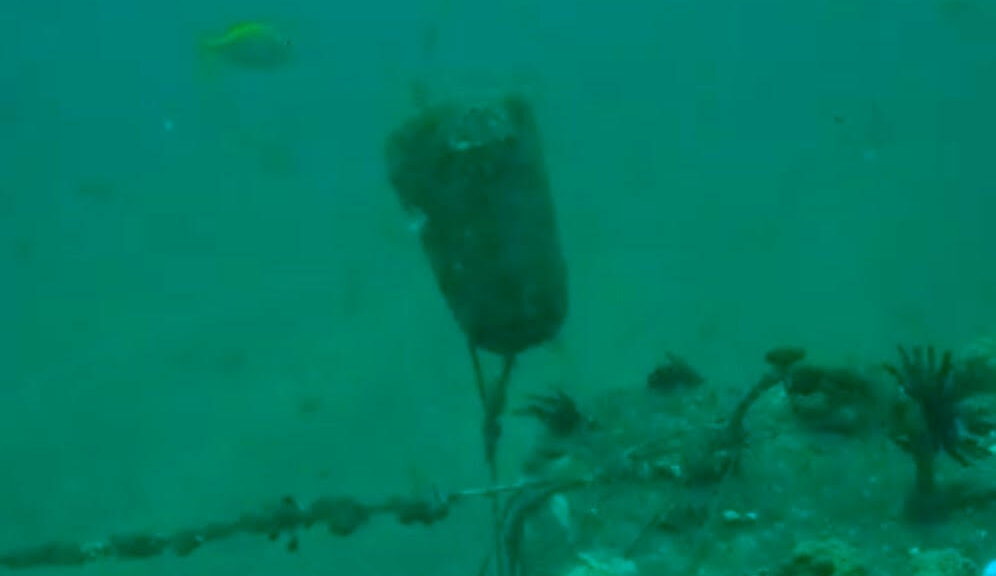 Wonder Reef On The Gold Coast